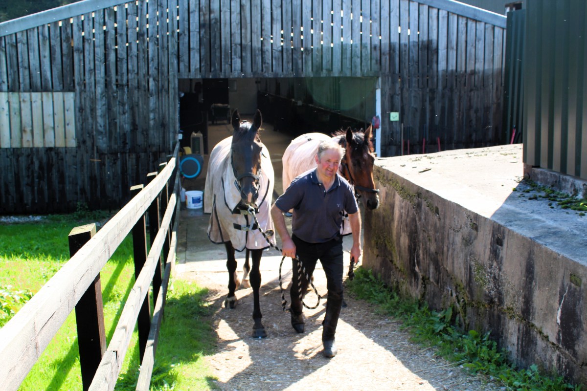 Stable Tour: Gary Hanmer – THE CONDITIONAL