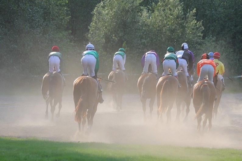 The Derby: Runner-by-runner guide – THE CONDITIONAL